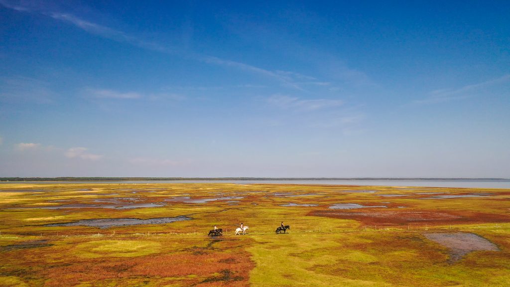 What to experience on Læsø - eco-friendly travelling & sustainable ...