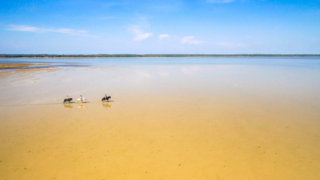 What to experience on Læsø - eco-friendly travelling & sustainable ...