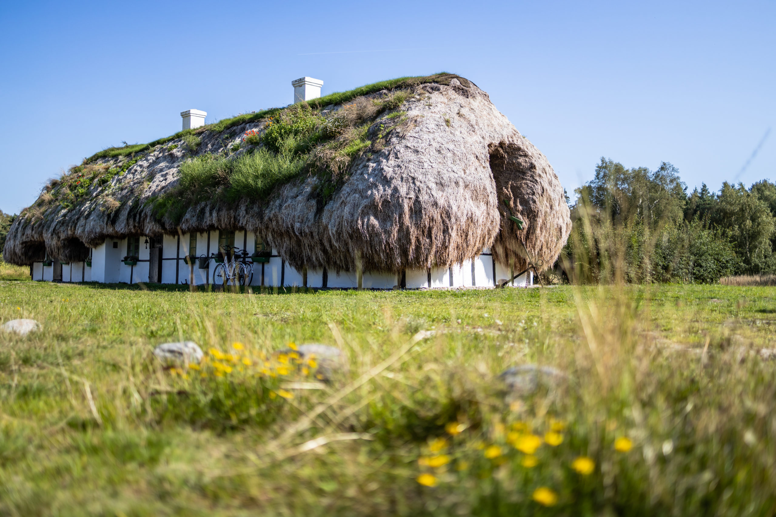 What to experience on Læsø - eco-friendly travelling & sustainable ...