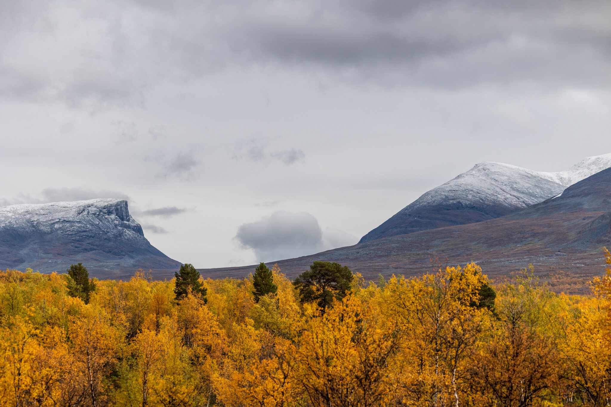 Abisko National Park - eco-friendly travelling & sustainable lifestyle