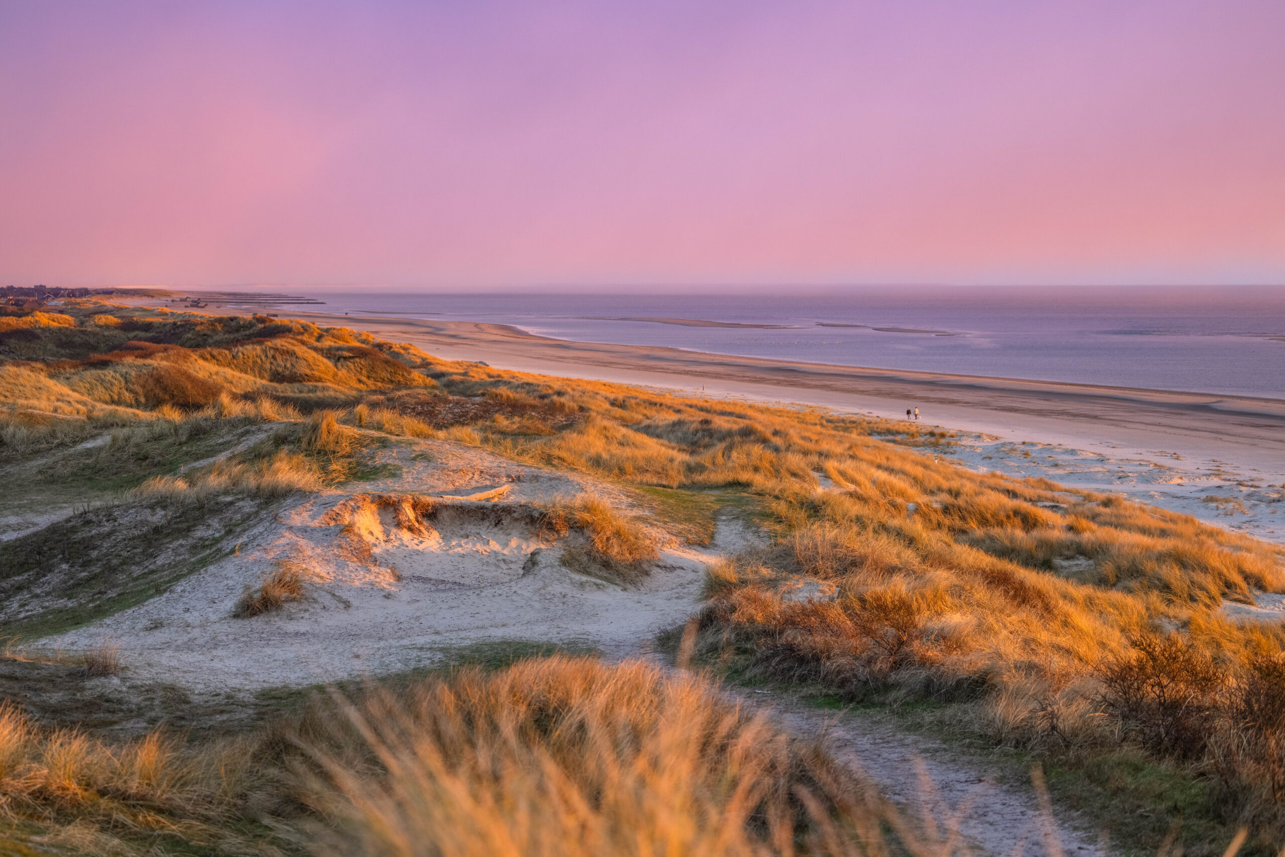 What to experience Blåvand - eco-friendly travelling & sustainable ...